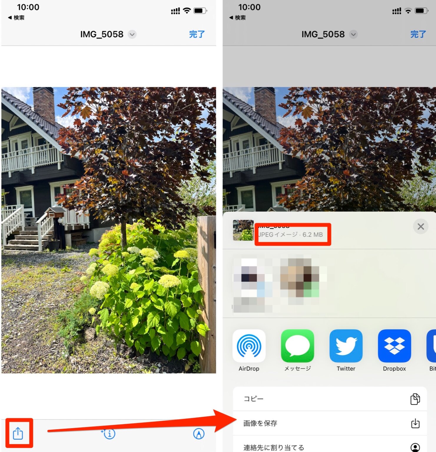 iPhoneの写真をHEICからJPGに変換、設定する方法 | カミアプ | AppleのニュースやIT系の情報をお届け